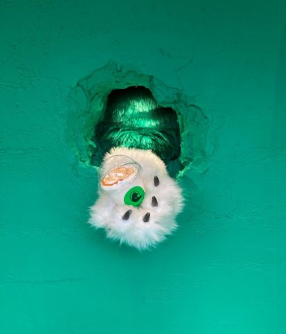 【原宿】新規オープン！クマの手でコーヒーを渡す「ANAKUMA CAFE（アナクマカフェ）」 - harao.tokyo