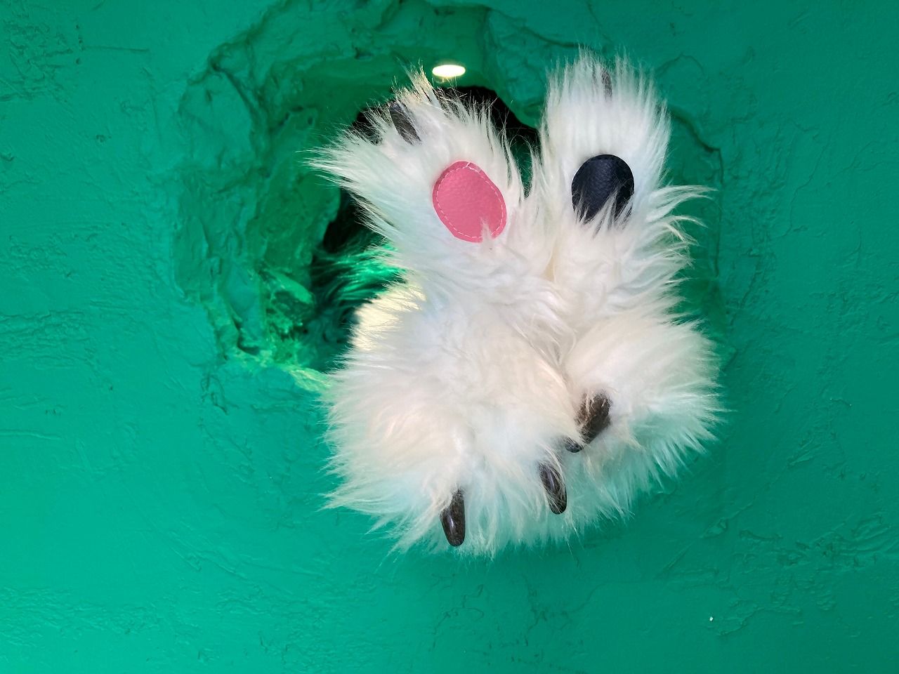 【原宿】新規オープン！クマの手でコーヒーを渡す「ANAKUMA CAFE（アナクマカフェ）」 - harao.tokyo