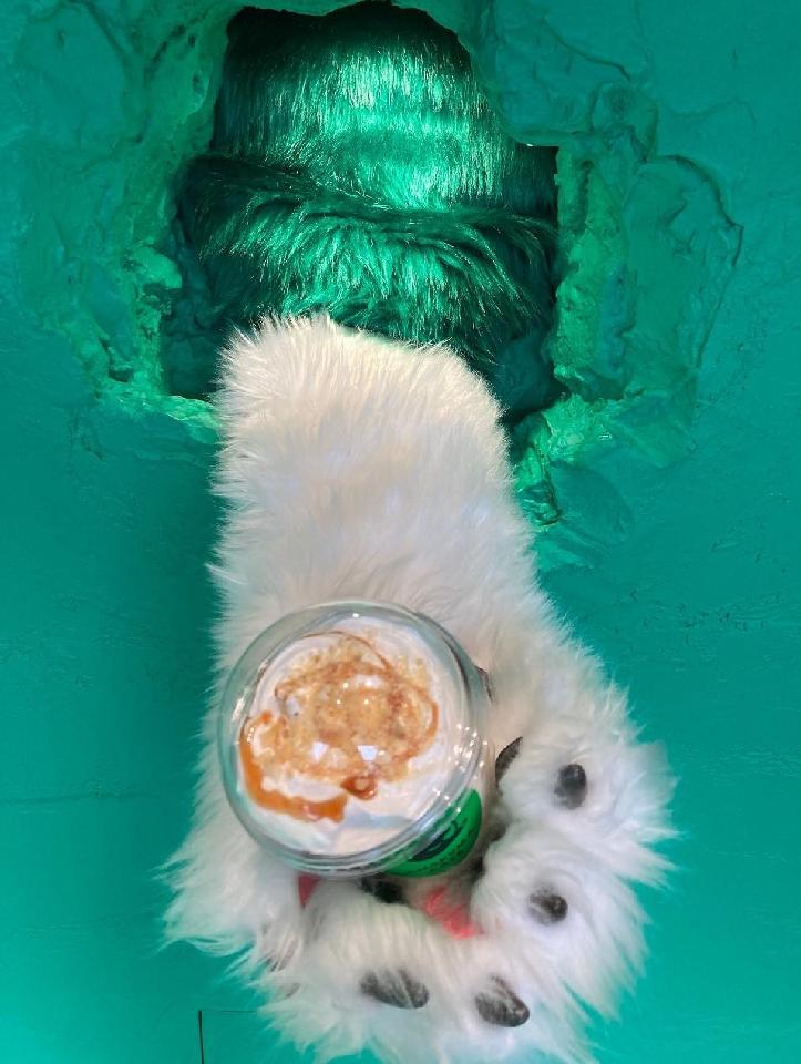 ANAKUMA CAFE（アナクマカフェ）-原宿・表参道・青山 はらお